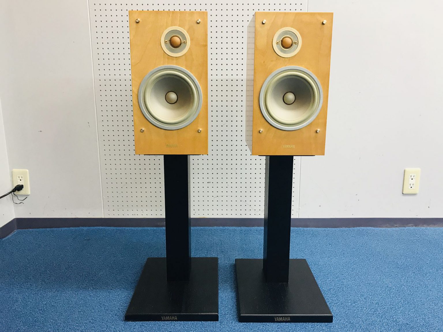 FOSTEX FT-600 ホーンツイーター ペア | SwingAudio Shop